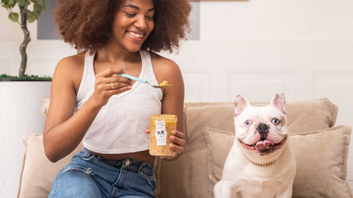 HAPPYBOND | POWERFOOD Variety Pack | Fresh Dog Food
