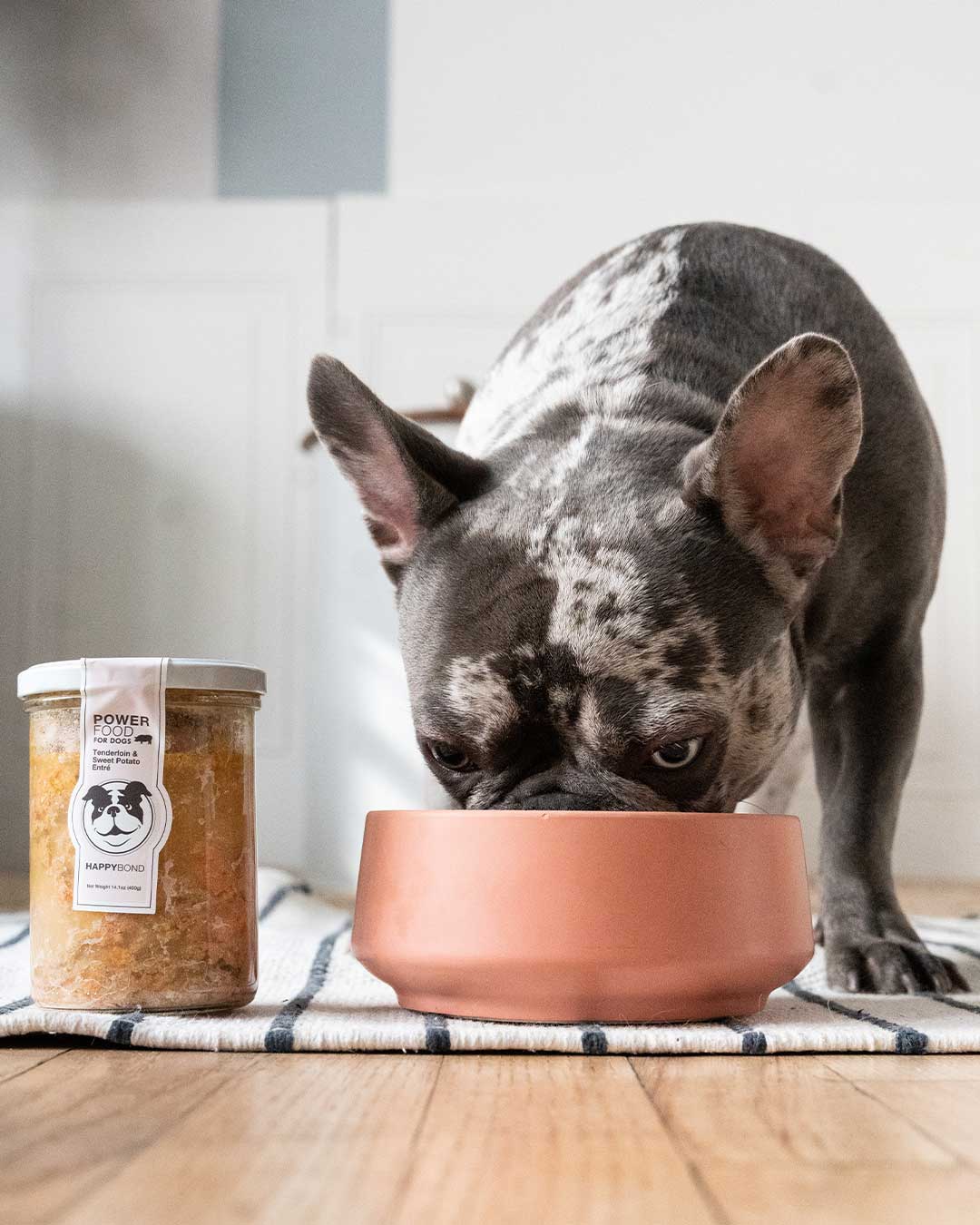 HAPPYBOND | POWERFOOD Variety Pack | Fresh Dog Food