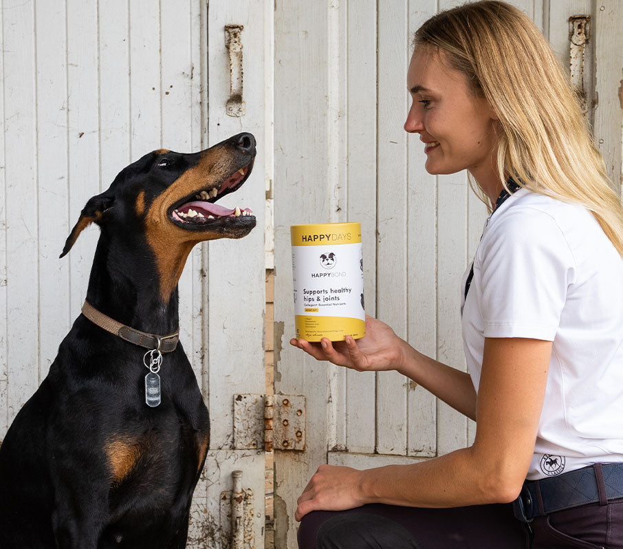 HAPPYBOND | POWERFOOD Variety Pack | Fresh Dog Food