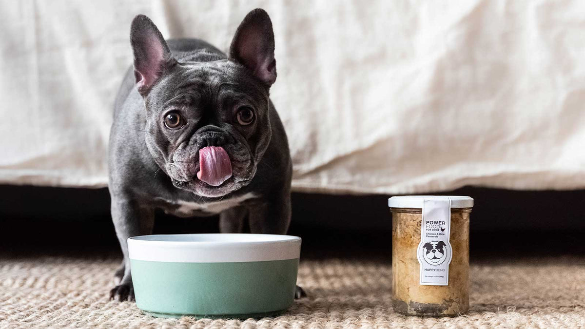 Dog Food - HAPPYBOND